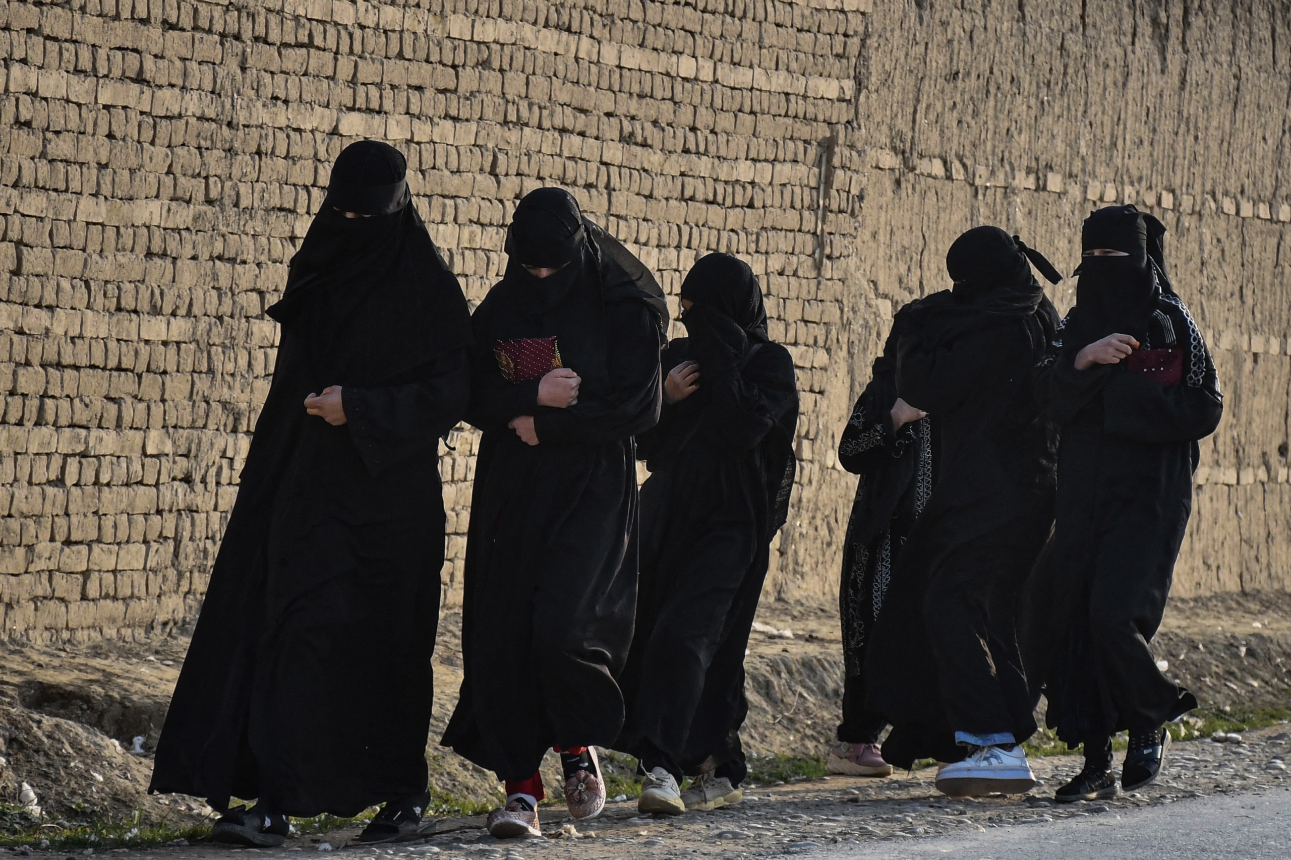 Artist Creates Hilarious Comics About Today’s Absurd World (15 Pics)