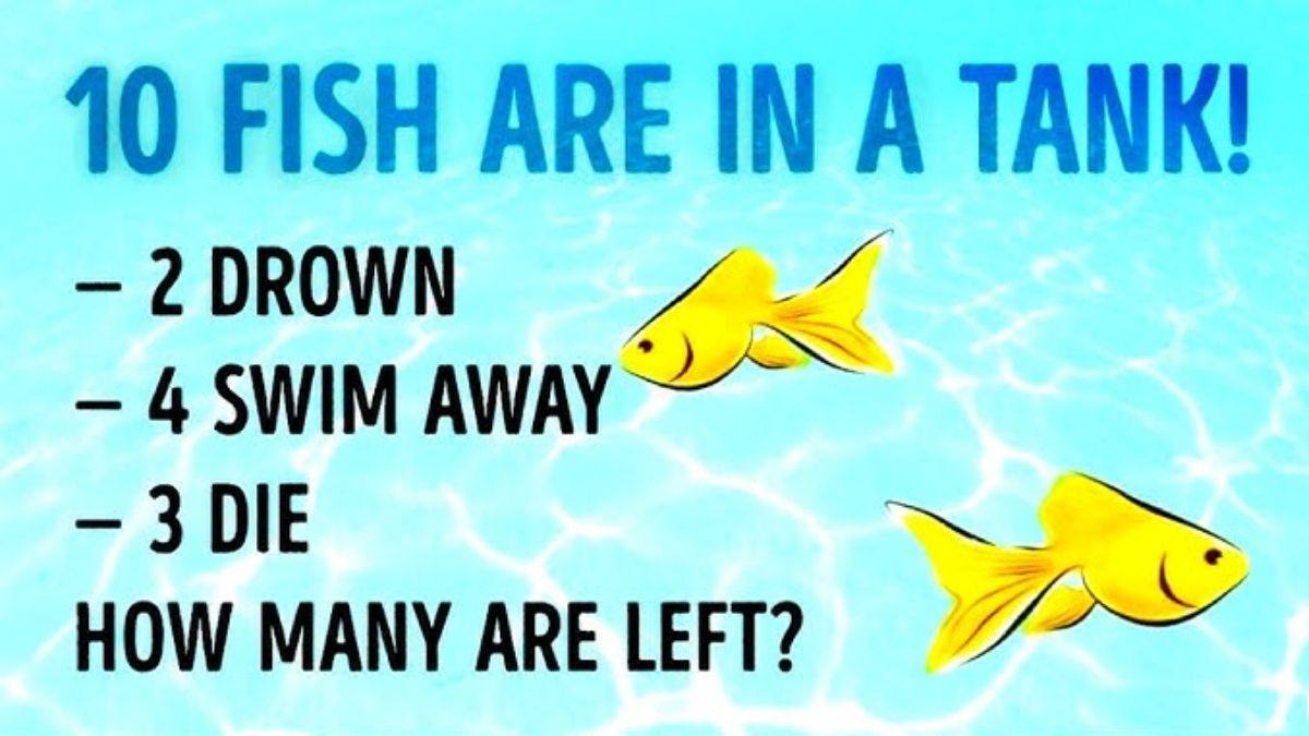 Brain Teaser for Geniuses: How Many Fish Are Left In The Tank? Test ...