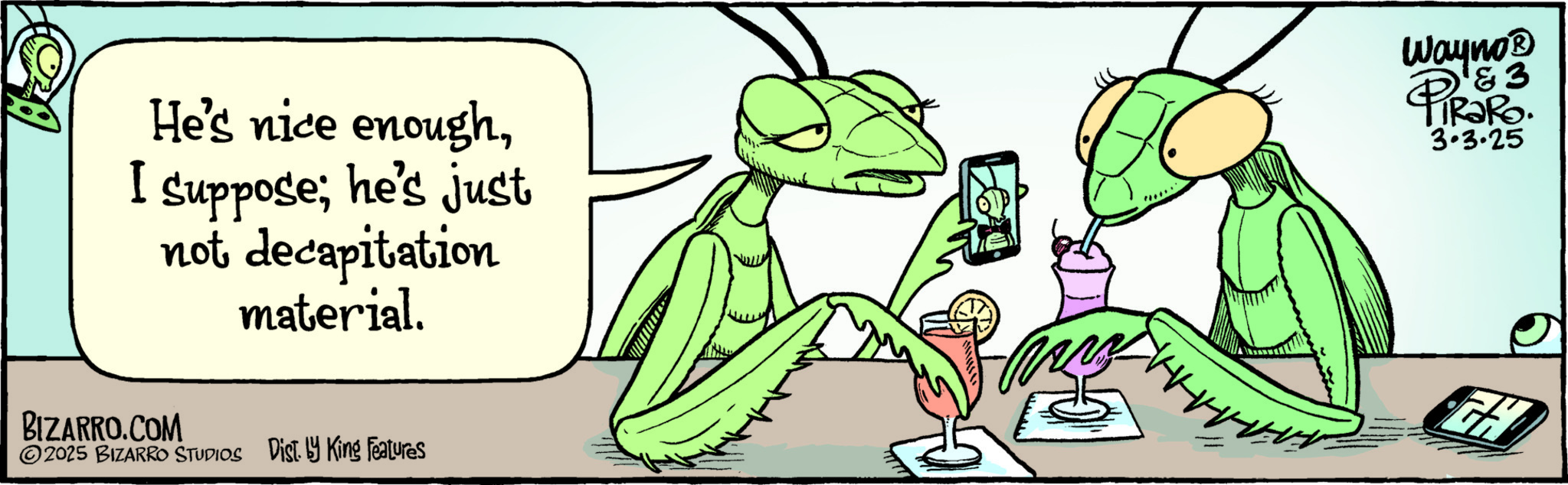 Bizarro by Wayno & Piraro