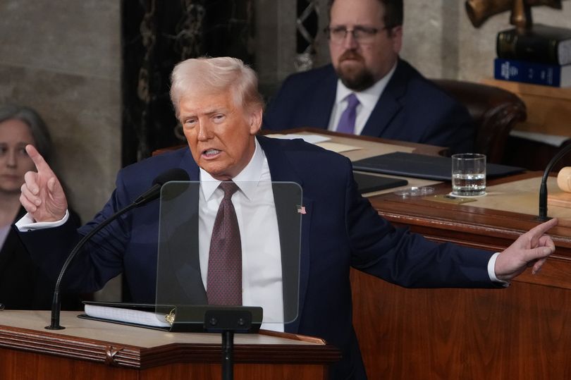 Experts crush Donald Trump's plan to import eggs from abroad after ...