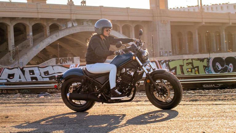 62-million-year-old fossil solves century-old mystery of mammal linked ...