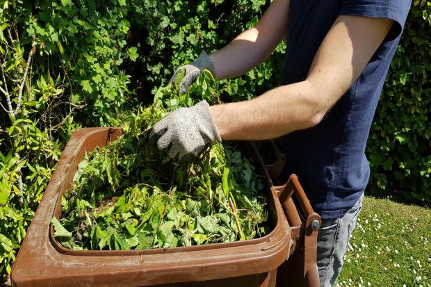 Change for autumn garden waste collection as permit numbers rise