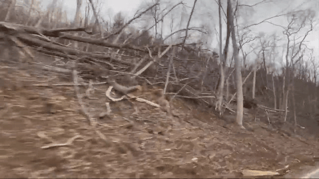 High Wind Watch continues Wednesday, thousands without power