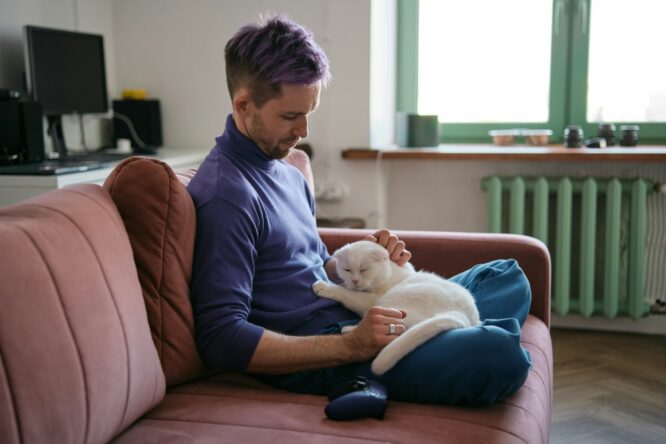 10 Signs You’ve Earned Love And Eternal Loyalty From A Cat