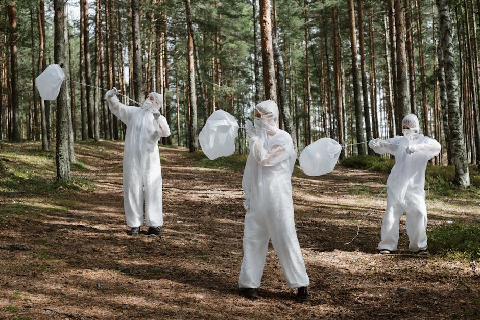 Are Climate Scientists Getting It Wrong? The Debate Over Global Warming ...