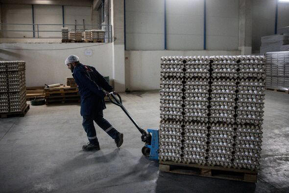 Experts crush Donald Trump's plan to import 100 million eggs as prices ...