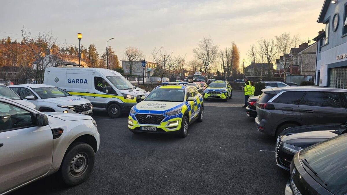 'A day of action': 44 people arrested in multi-agency Limerick operation