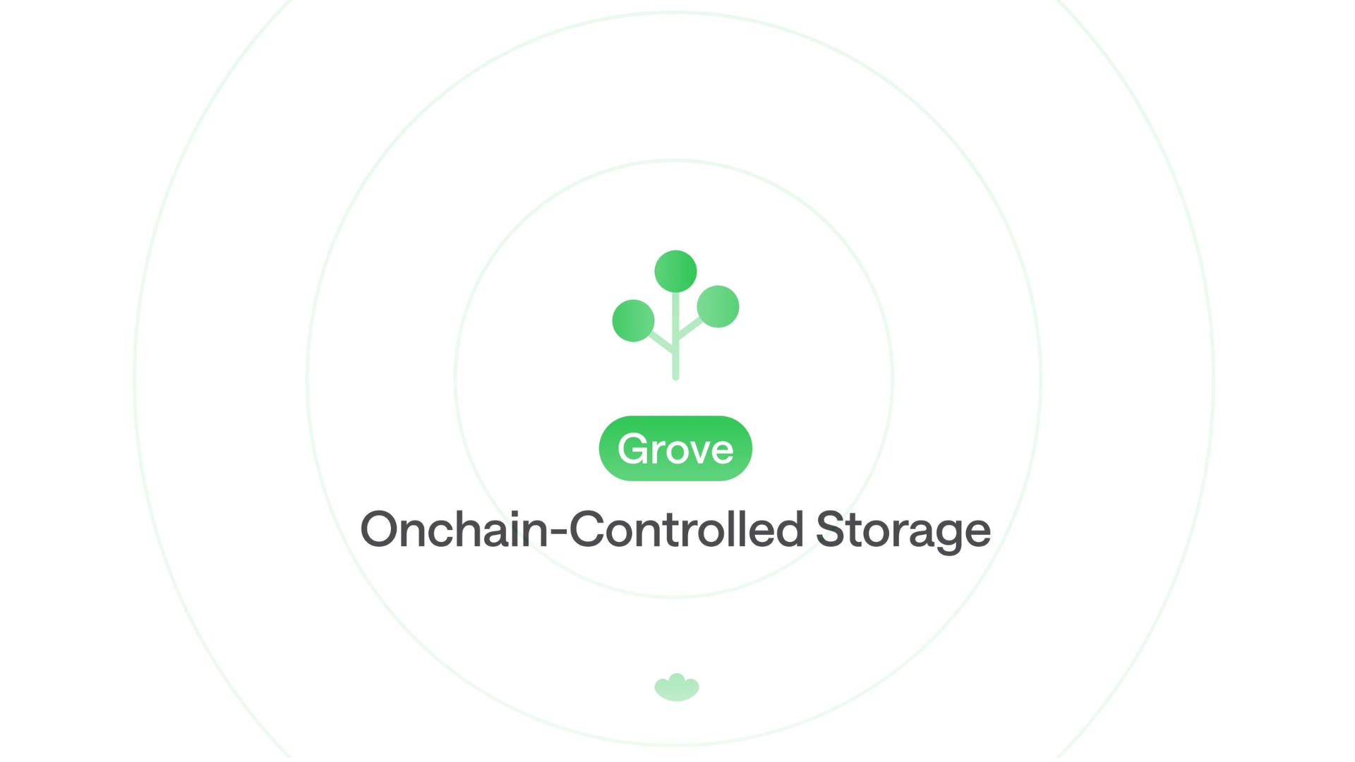 Lens Protocol Introduces Grove, A Blockchain-Agnostic On-Chain Storage Solution