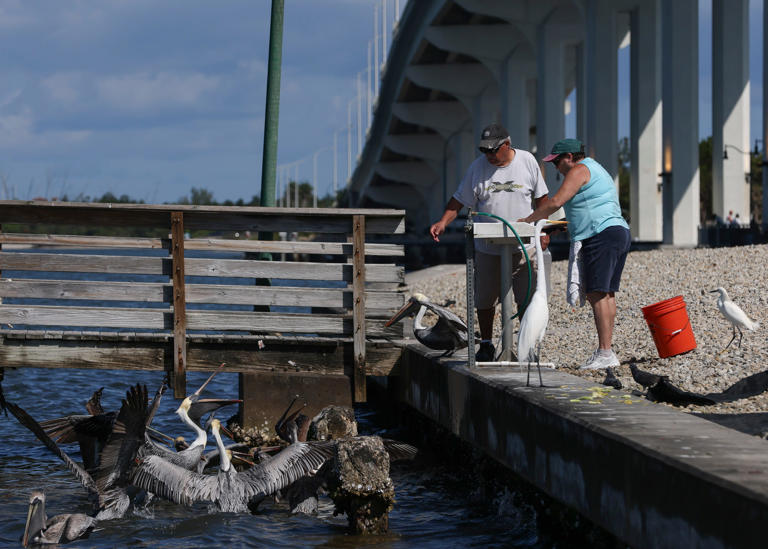 What to know about where and what to fish and non-resident fishing ...