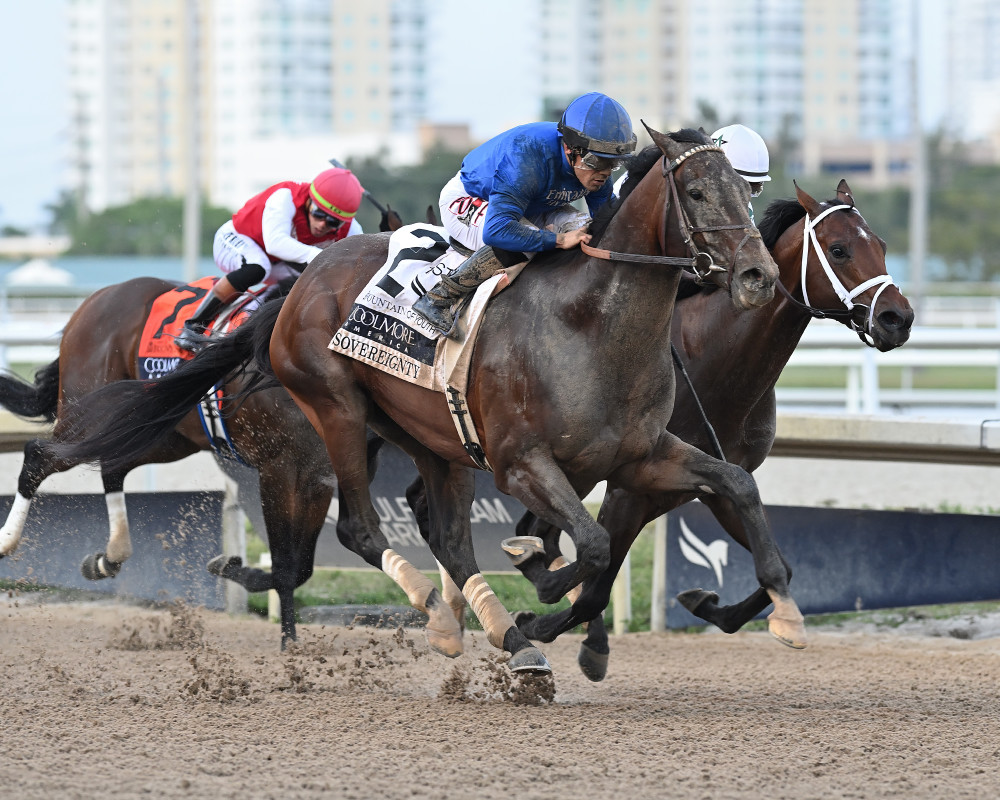 Sovereignty Pleases Trainer Bill Mott In Payson Park Breeze For Florida ...