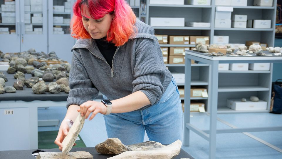 Archaeologists uncovered a cache of 1.5 million-year-old bone tools ...