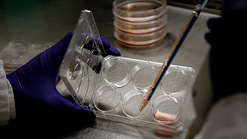 Commission playing catch up with US, China in life science sector