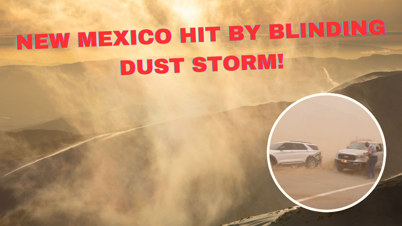 Deadly Sandstorm Hits New Mexico as Drivers are Trapped In Chaos