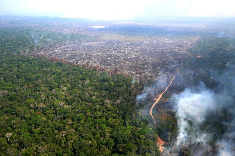 Studie: Abholzung des Amazonas-Regenwalds begünstigt Trockenheit und ... Studie: Abholzung des Amazonas-Regenwalds begünstigt Trockenheit und ...