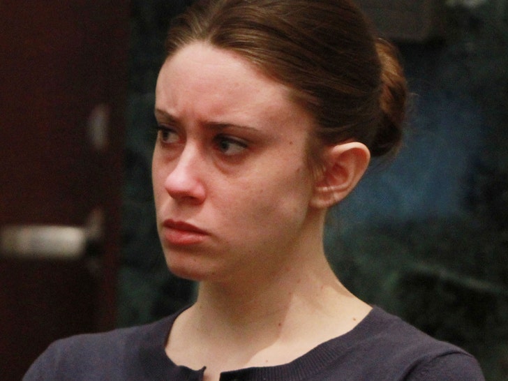 Casey Anthony's New Legal Advocacy Is All About Money and Fame: Judge