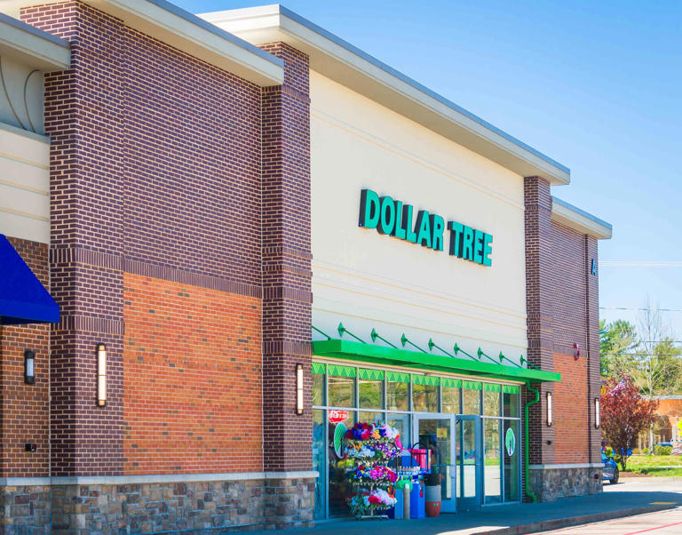 10 Dollar Tree products shoppers swear are exactly like the name brand