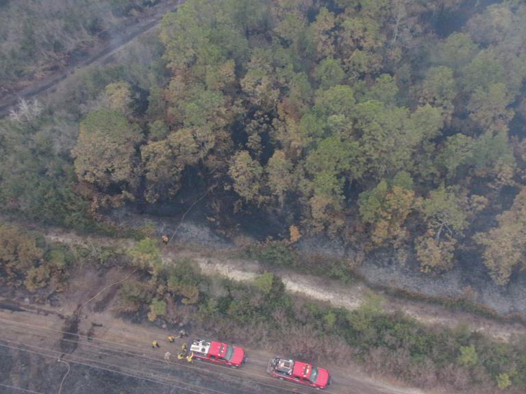 Carolina Forest wildfire now 44% contained as gusty winds create challenges