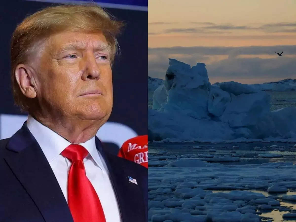 Greenland PM, Denmark react to Donald Trump's message on island merger