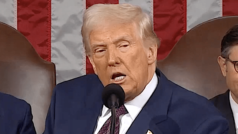 'Way, way off': CNN fact checker points to Trump lie that 'stuck out ...