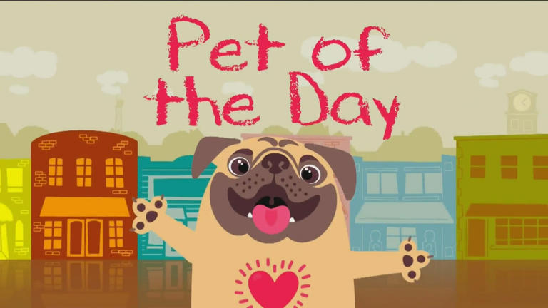 KLBK’s pet of the day is Dr. Ellie Sattler (1/15/26)