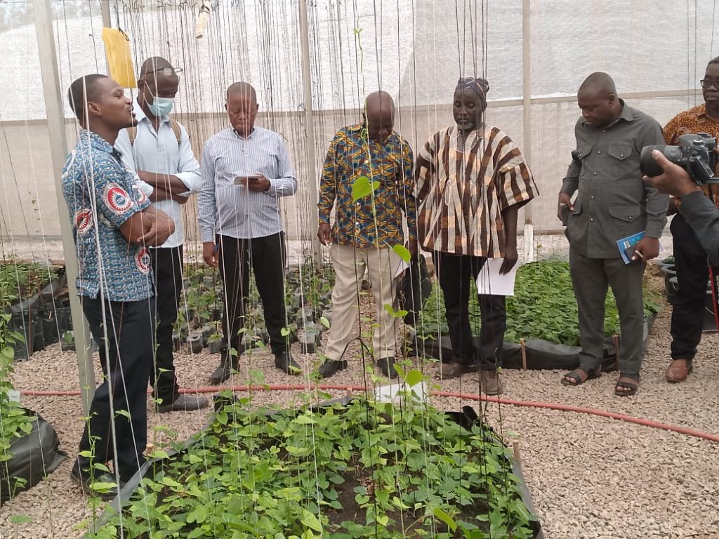 CSIR-SARI, JIRCAS introduce yam variety
