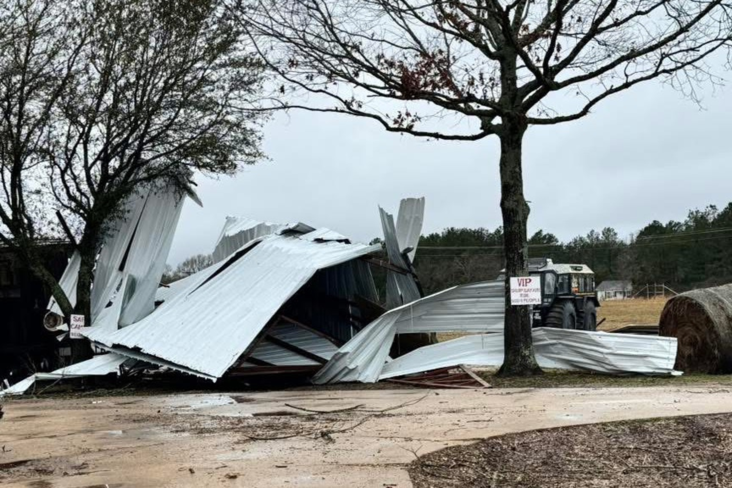 Baby Animal Killed After Tornado Hits Petting Zoo: 'Today is a Hard Day'