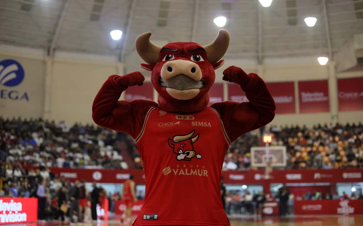 Toros Laguna espera más refuerzos