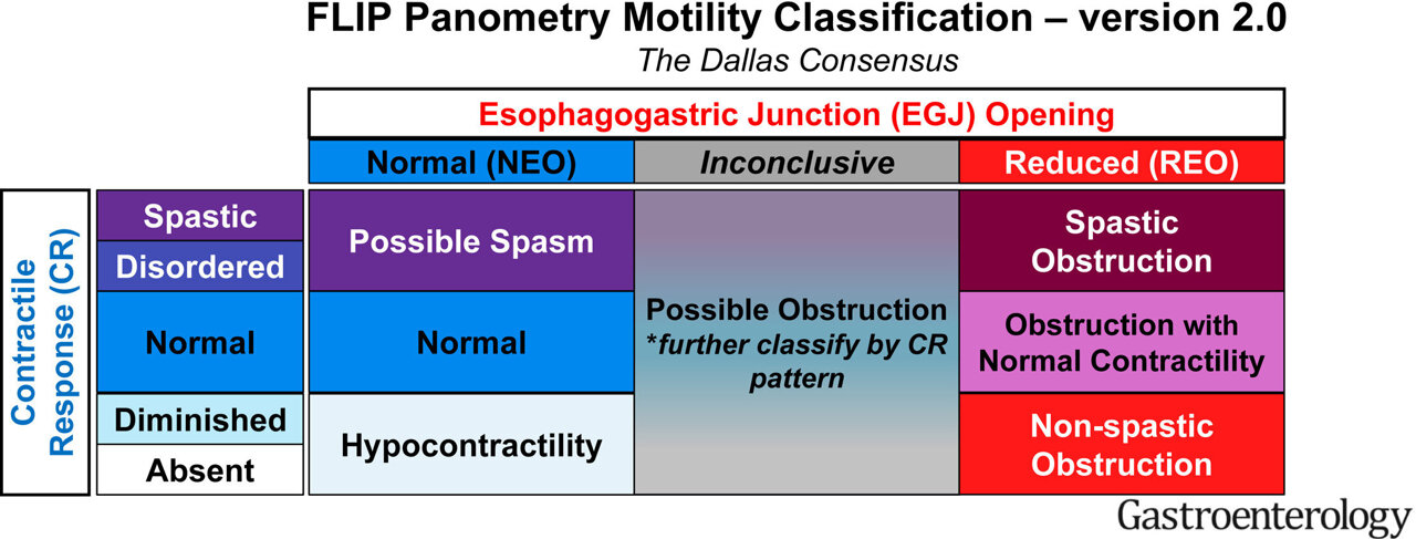 Improving diagnosis of upper gastrointestinal disorders—experts create ...