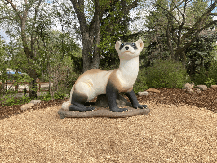 Philadelphia Zoo debuts ‘Wildlife Rescue,’ new climbable animal exhibit