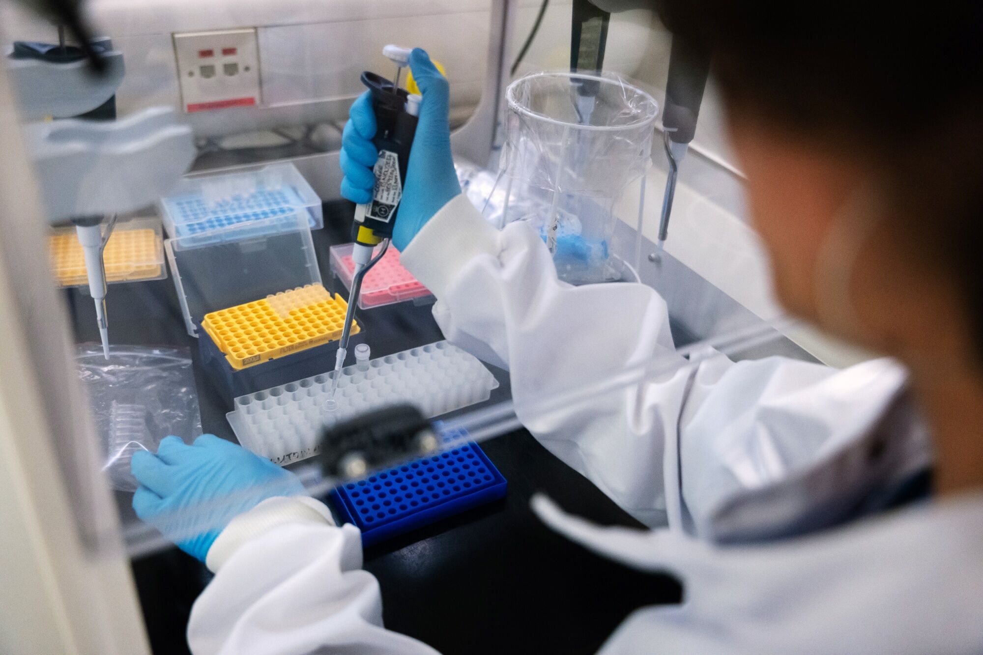 Musk’s DOGE Cuts Target FDA Lab Guarding US Drug Supply