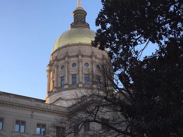 Autism Missing Person Alert System Act unanimously passes in Georgia House