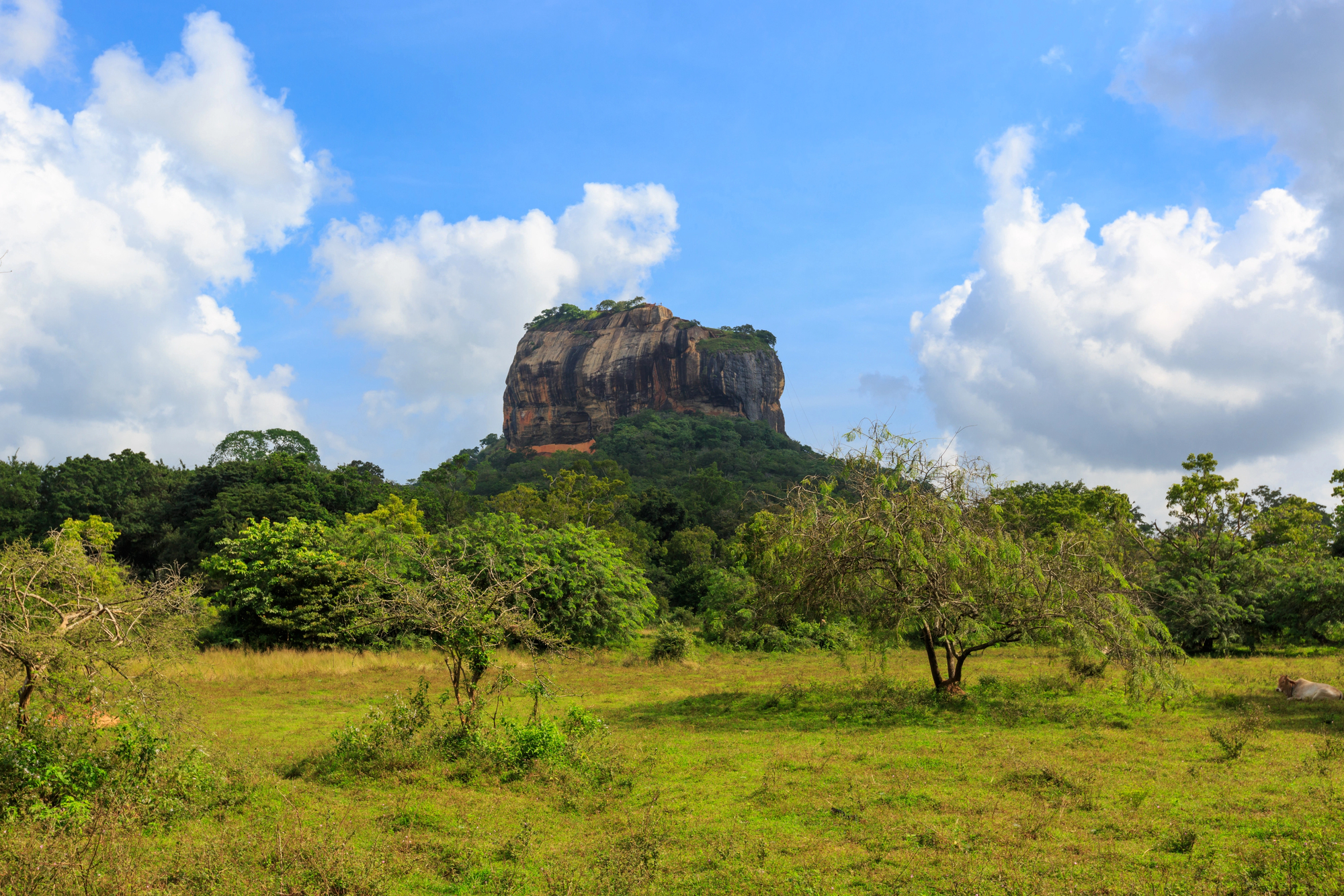 20 hidden castles and fortresses that are still emerging from history