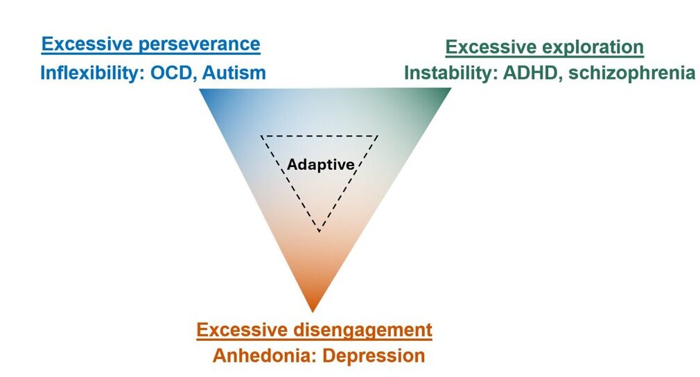Should I keep going? Brain switchboard provides insights into ...