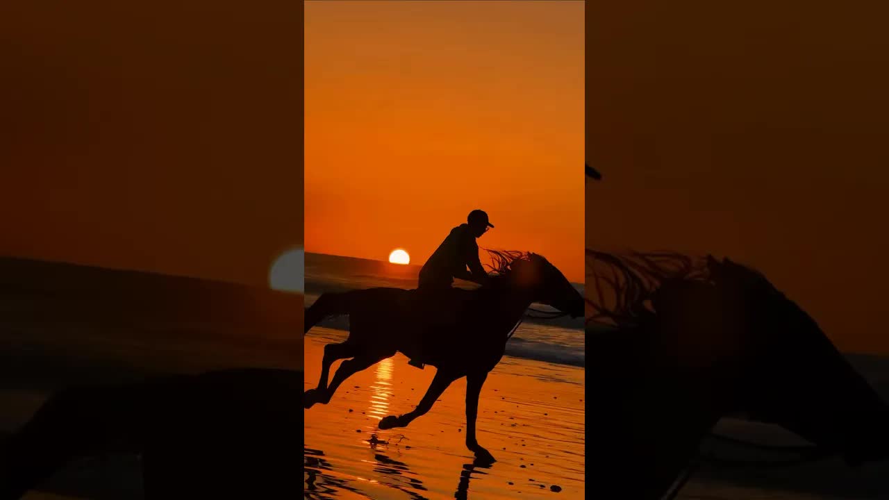 Majestic Sunset Horseback Ride on the Beach