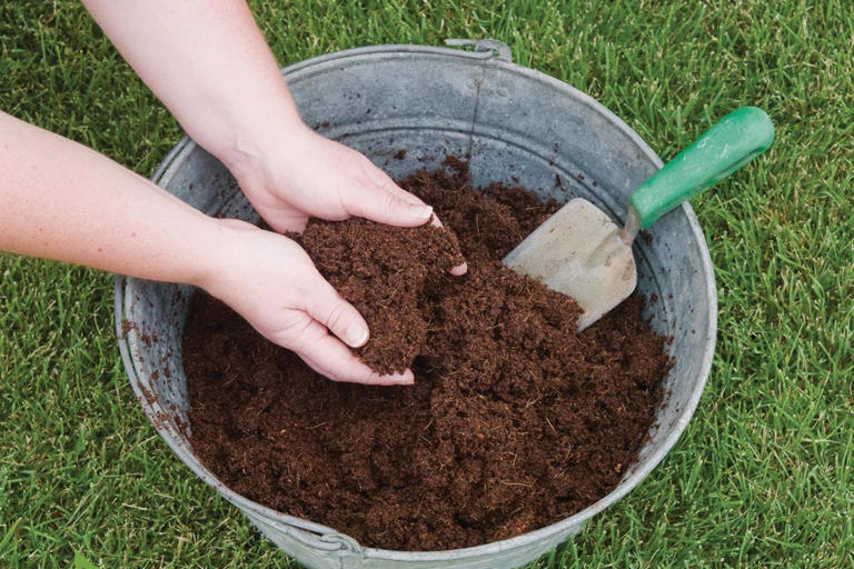 The Best Seed Starting Mixes of 2025 for Successful Germination