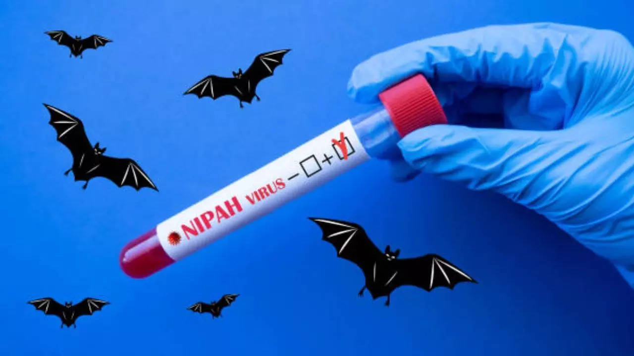 Nipah Virus Alert: Kerala On High Alert As Bat Breeding Season Begins ...