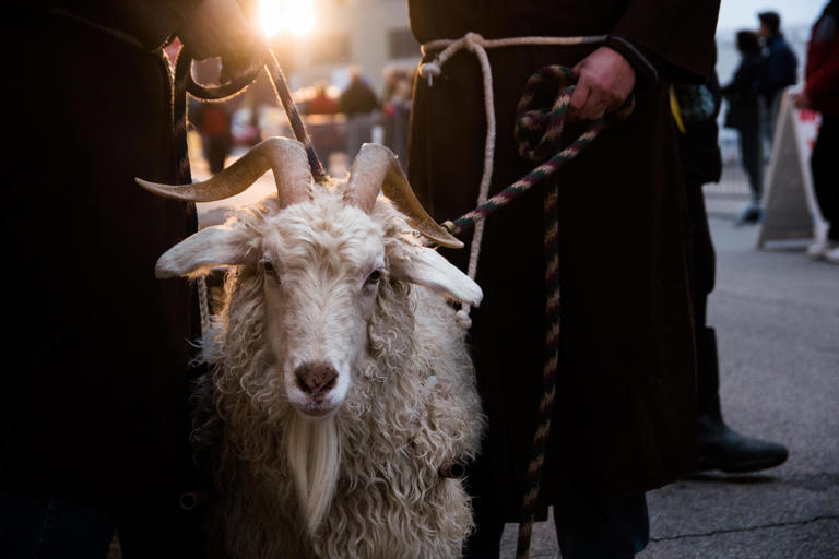 Bockfest returns this weekend! Here's everything to know for the 2025 ...