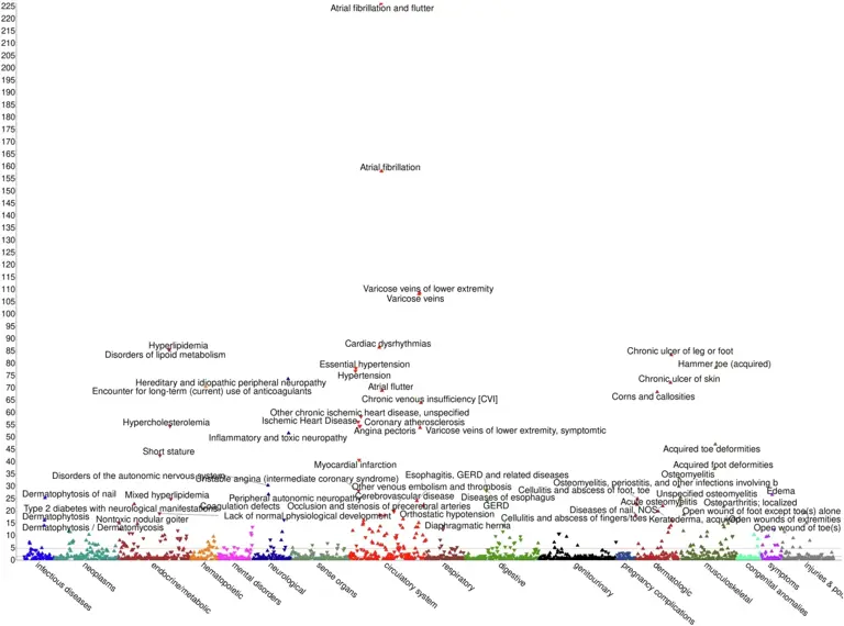 Global study links height to heart, metabolic, and mental health risks