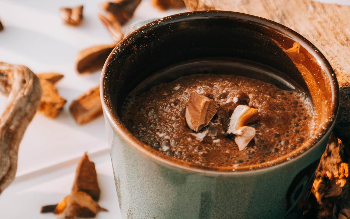 Best Reishi supplements for powerful adaptogenic support