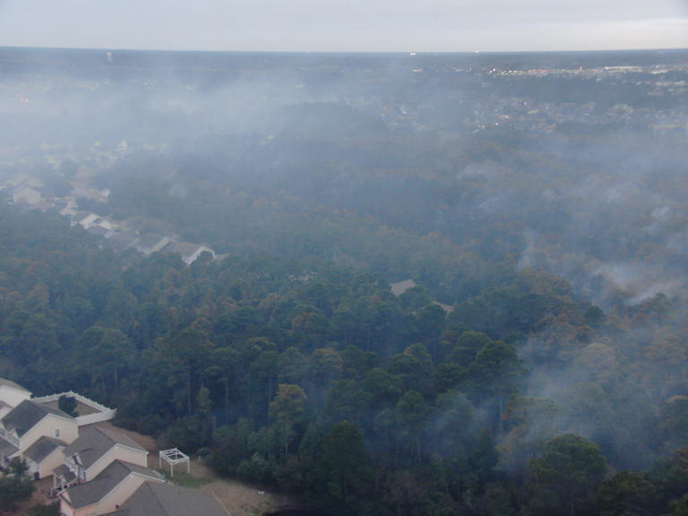 Carolina Forest wildfire now 44% contained as gusty winds create challenges