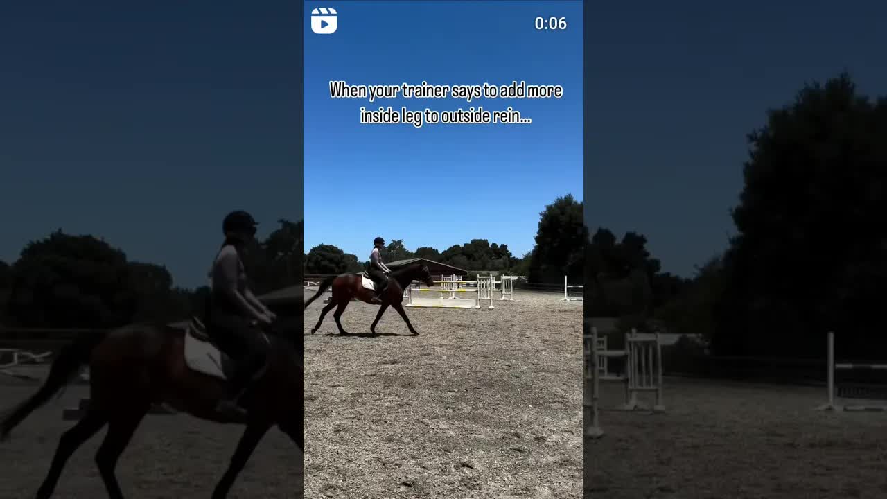 Horseback Riding Training: Mastering Inside Leg to Outside Rein