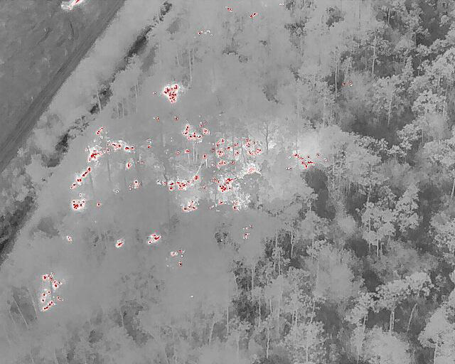 Carolina Forest wildfire remains 55% contained on day 9