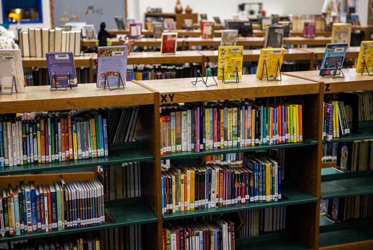 Texas Senate approves bill changing how schools select library books