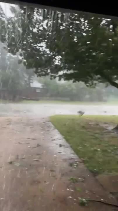 Power Line Gets Short Circuit as Massive Storm Hits Texas, USA