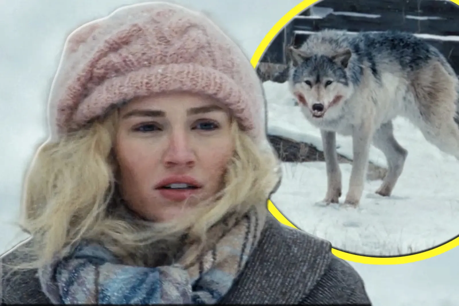 ‘1923’ Fans Explain the Wolf in the House + I’m Dying! [Dutton Rules]