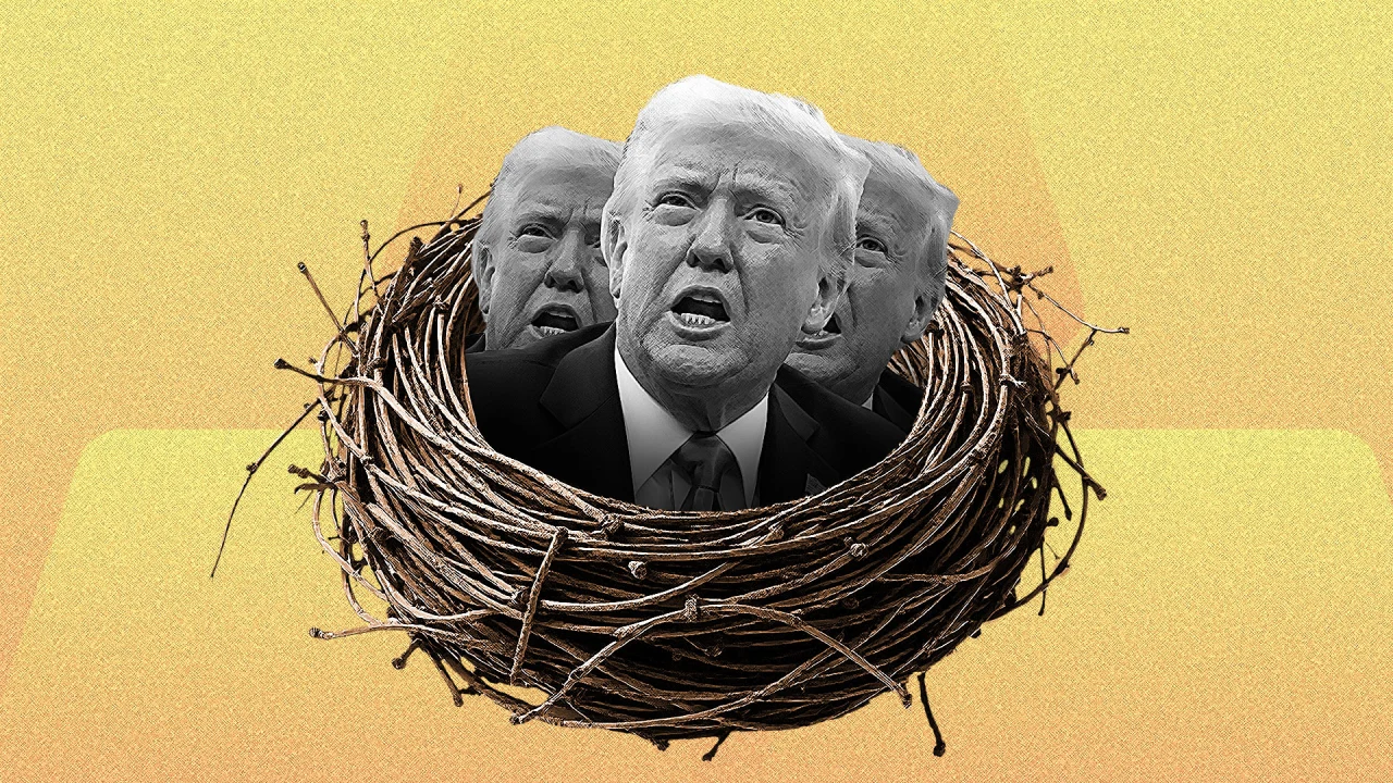 ‘Trump Take Nest Egg’: How 2025’s best meme evolved to take on our ...