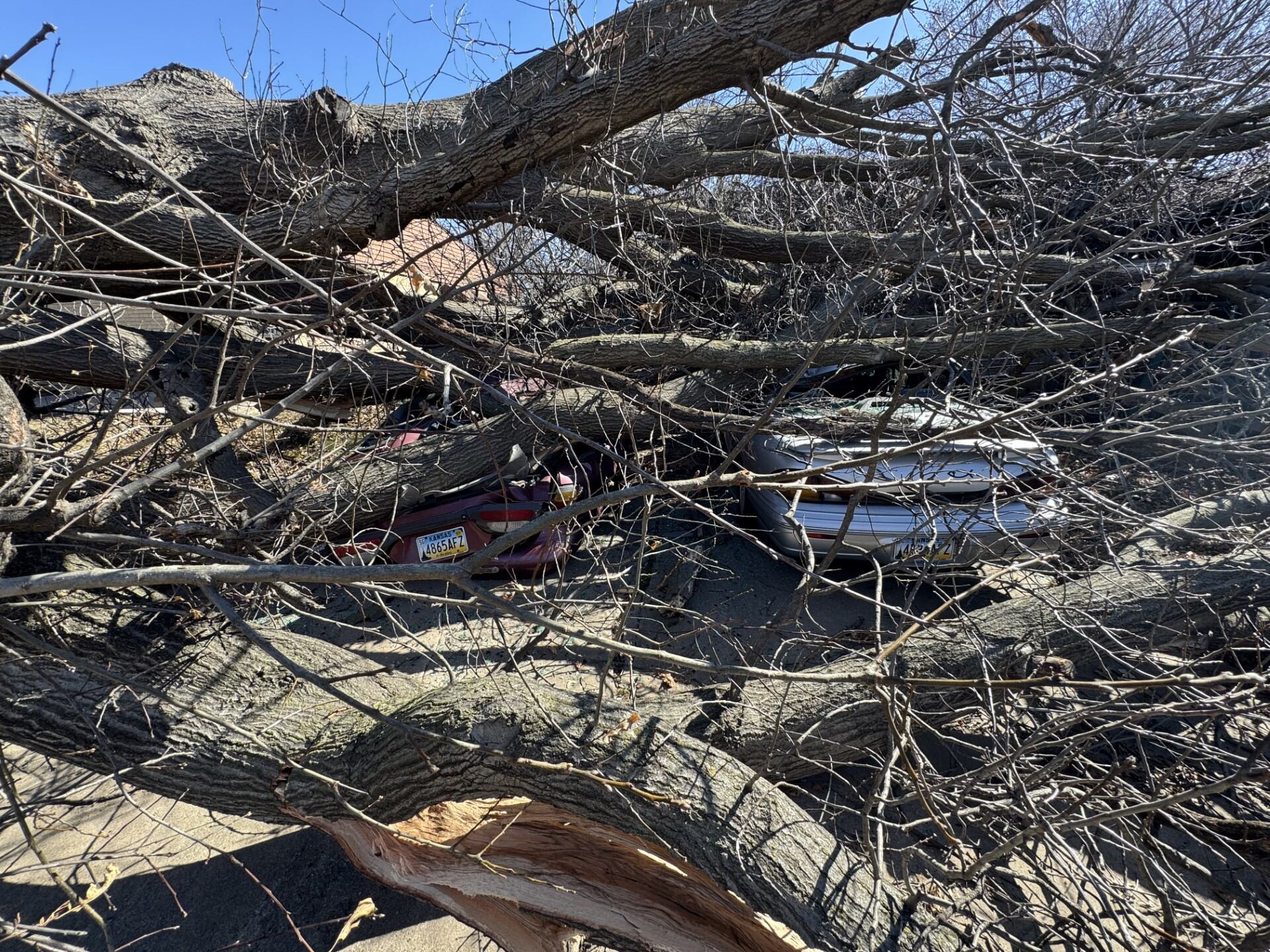 Wichita couple’s cars crushed by tree, Kansans assess damage day after wicked winds tear through ...