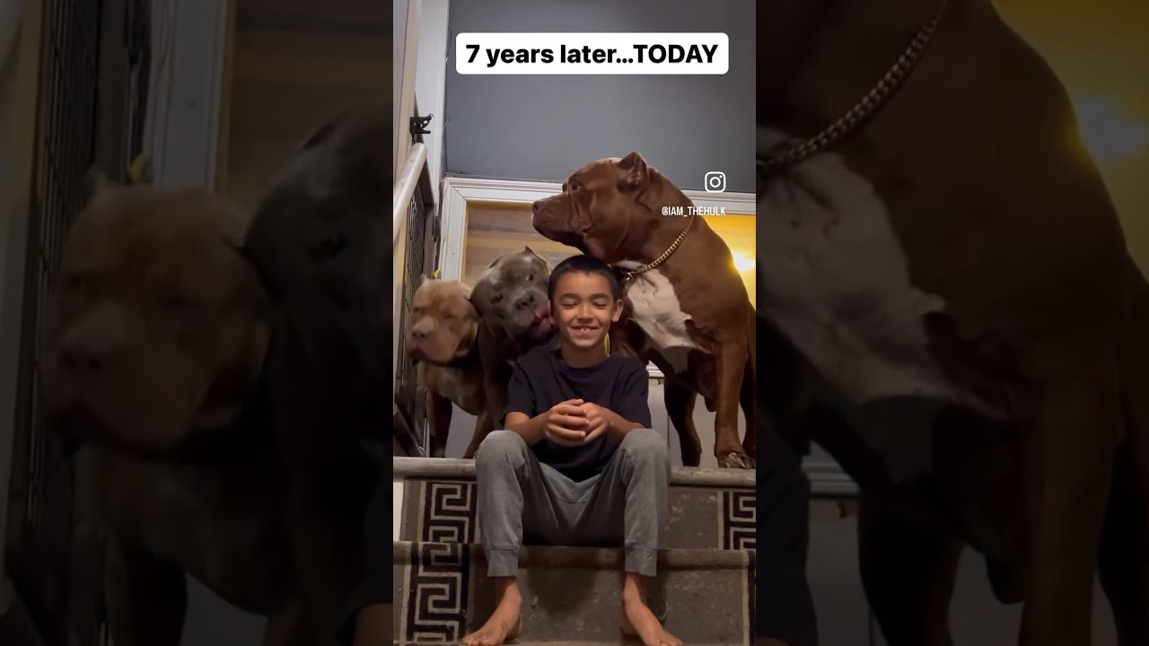 Dangerous Dog Grows Up Alongside His Baby Brother