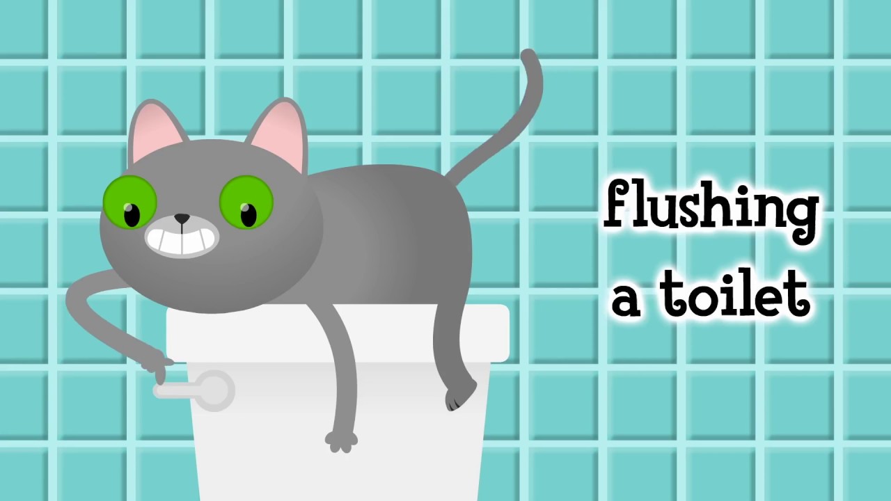 Music Video Starring a Toilet-Flushing Cat