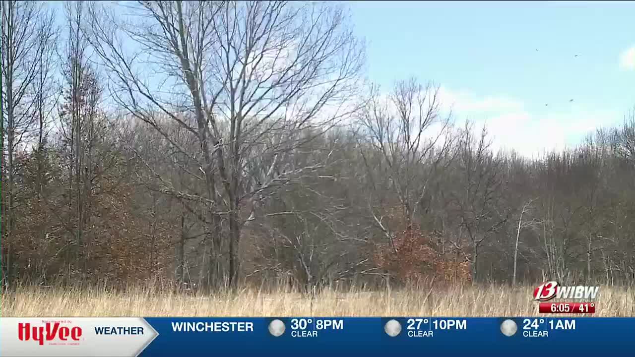 Local prairies are threatened by encroaching trees